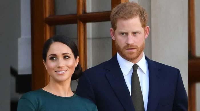 Prince Harry, Meghan Markle career split seen as modern approach