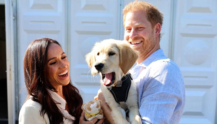 Prince Harry's miscalculated nausea bashed for making people sick