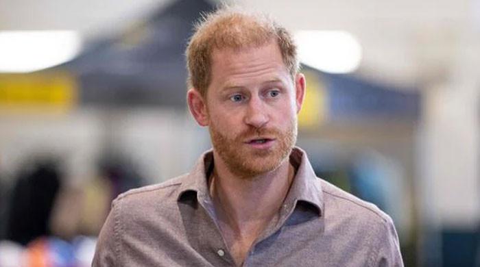 ‘Sick to death' Prince Harry's irritations take a new turn as he gets ...