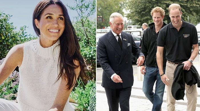 Meghan takes major step to rebuild bridges between King Charles, Prince William and Harry