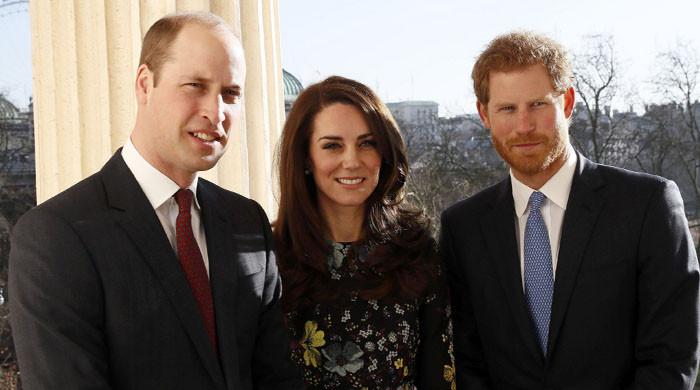 Kate Middleton rushes to reunite Harry, William, before Duke suffers 'meltdown'
