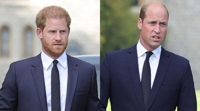 Prince Harry's 'ludicrous' move risks worsening rift with Prince William