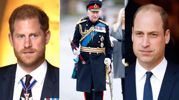 King Charles, Prince Harry 'fragile truce' predicted