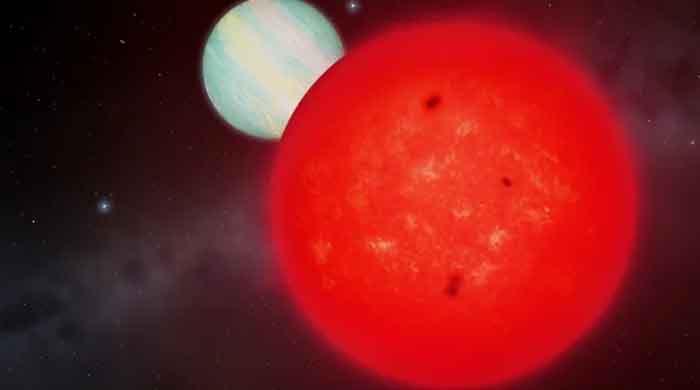 Small star birthed giant exoplanet, but scientists don't know how