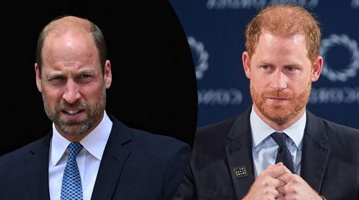 Prince William unknowingly lays bare the resentment Prince Harry carries?