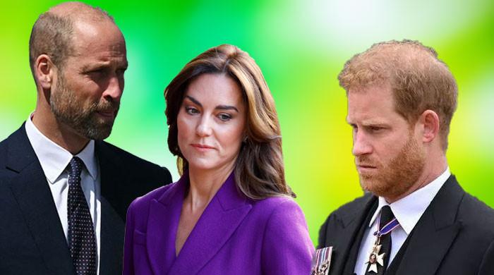 Prince William, Kate Middleton's friend reveals truth behind peace talk absence