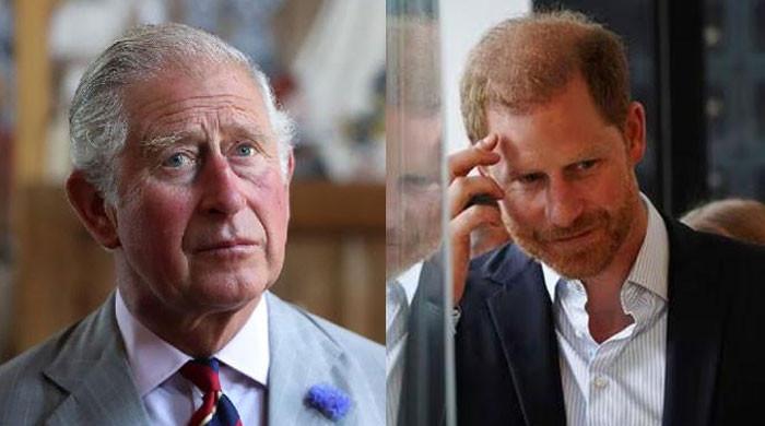 King Charles, Prince Harry peace summit: Who leaked the news?