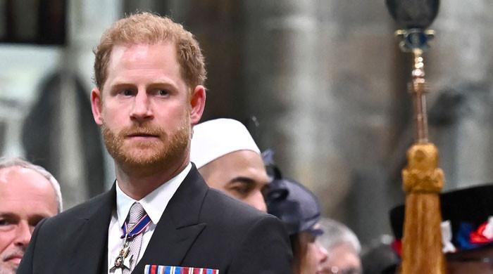 Palace signals 'dangerous weakness' on entertaining Prince Harry peace ...