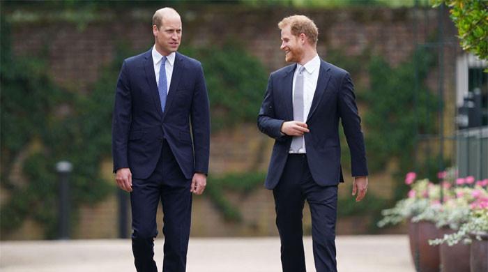 Prince Harry finally offers olive branch to brother William with sincere move