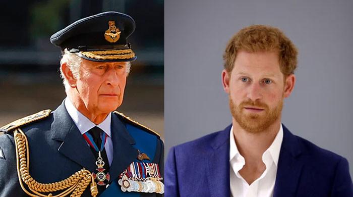 Prince Harry's shot at reconciliation gets shocking verdict by a man ...