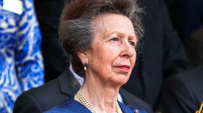 Princess Anne real opinion on royal titles laid bare: 'There are downsides'