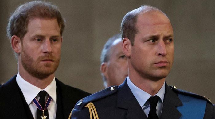 Prince Harry reignites royal rift with subtle dig at Prince William