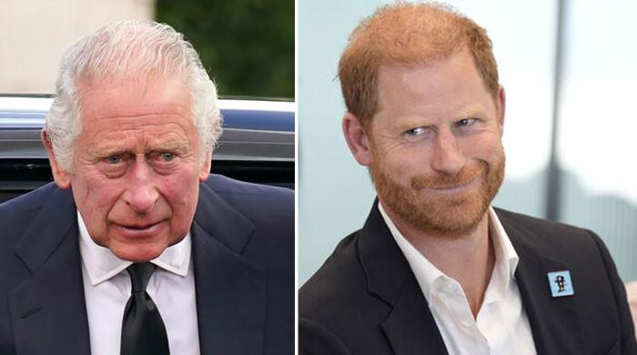 Prince Harry twists the knife after King Charles let him back in