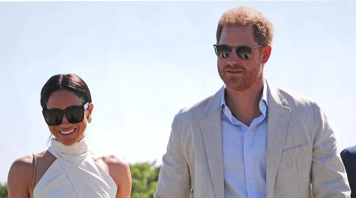 Prince Harry, Meghan Markle's projects ripped apart in 'harsh' review