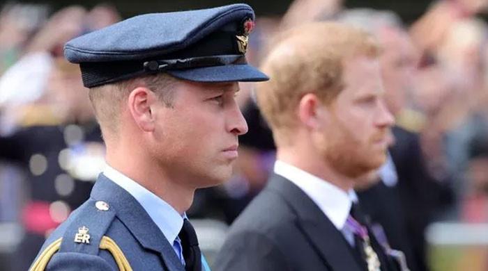 Prince Harry, Prince William reflect classic sibling dynamic: Expert