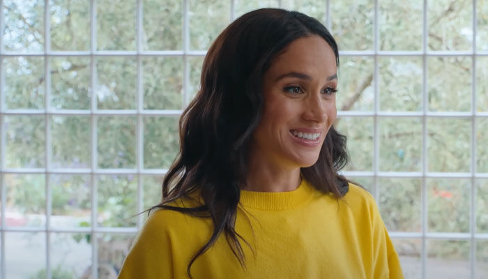 Netflix boss goes live with official comments about Meghan Markle