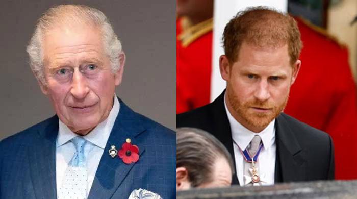 King Charles left scared and worried because of Prince Harry