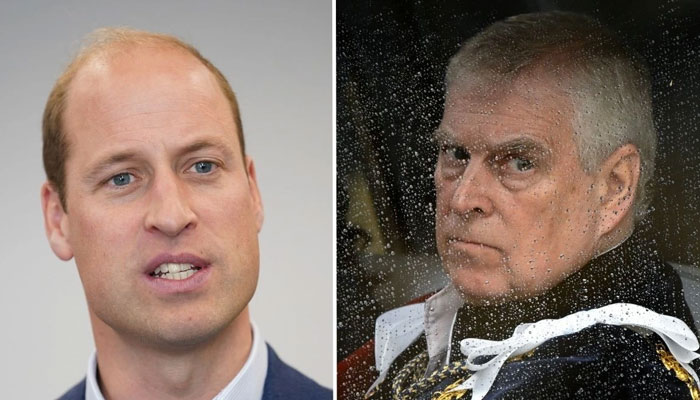 Prince Andrew gets told off by 'media savvy' Prince William in a rare sight