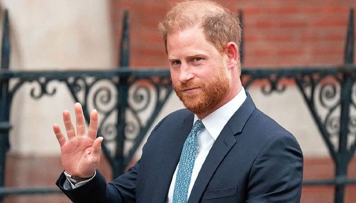 Royal security insider clears air on Prince Harry's protection concerns